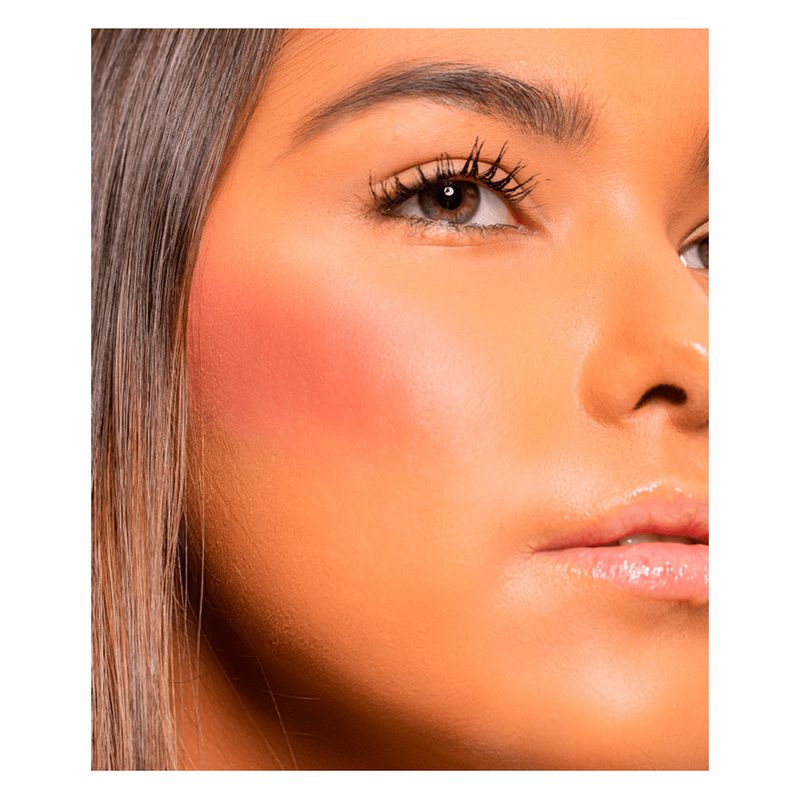 Blush Mari Maria Makeup Summer Shine - Up Level - Lojas Rede