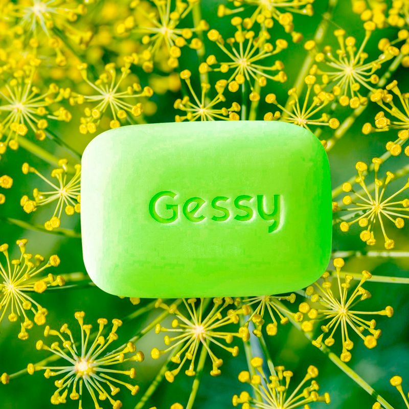 Sabonete Em Barra Gessy Frescor Revigorante Erva Doce 80g - Lojas Rede